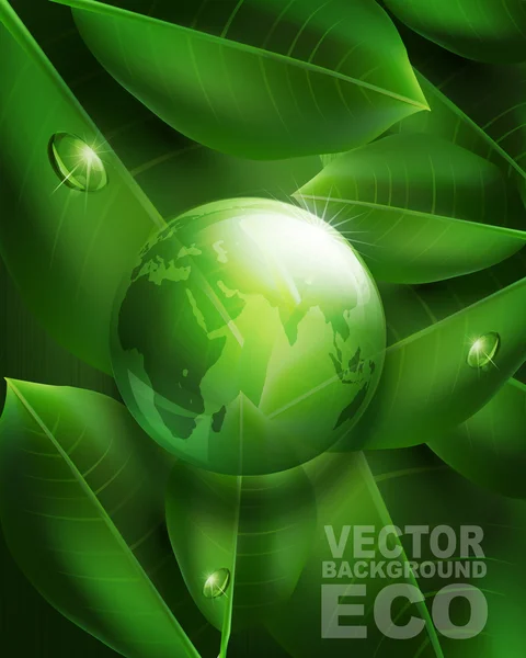 Vector abstract green background with leaves, waves, and the ins Stock ...