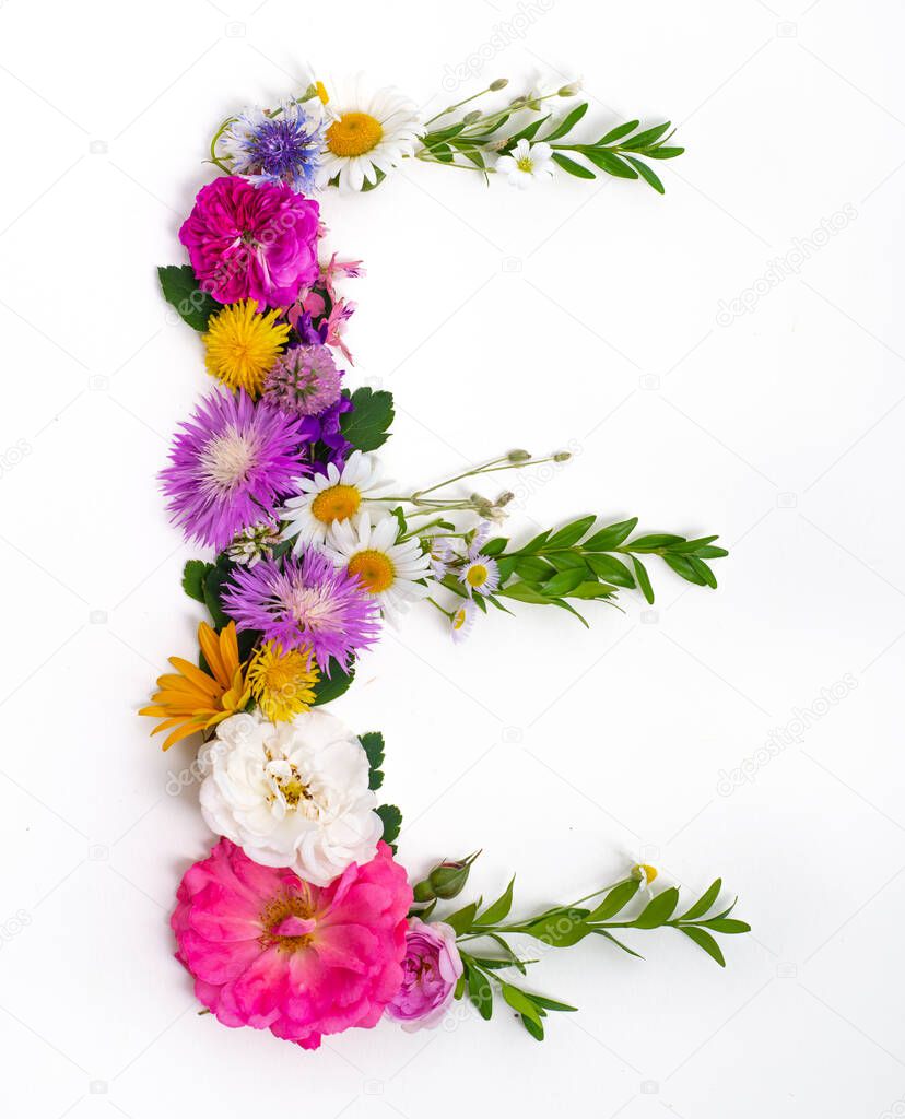 Fuente floral de verano. Concepto diseño del alfabeto, letra E ...