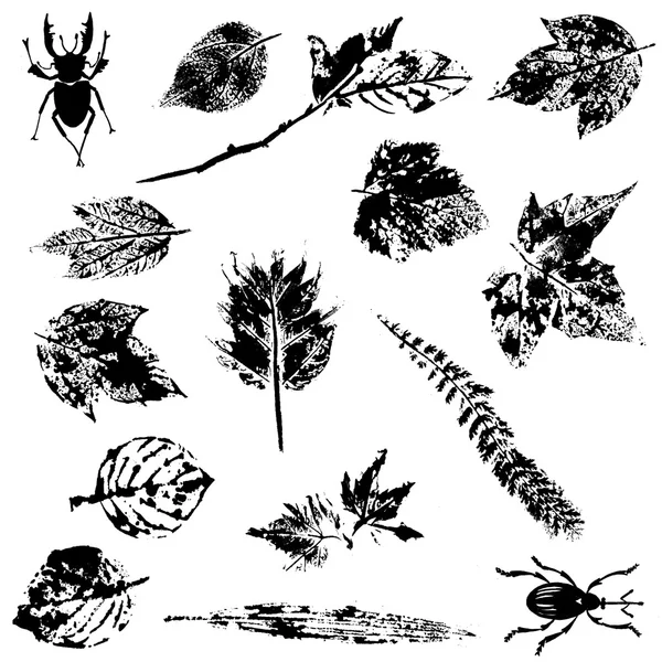 Bug splat, Royalty-free Bug splat Vector Images & Drawings | Depositphotos®