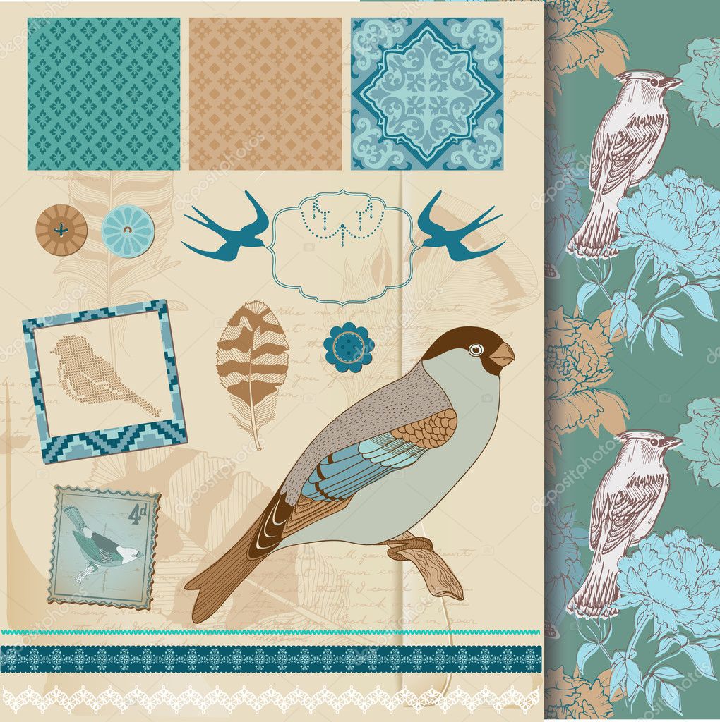 Scrapbook Design Set - Vintage Birds and Feathers - in vector Stock ...