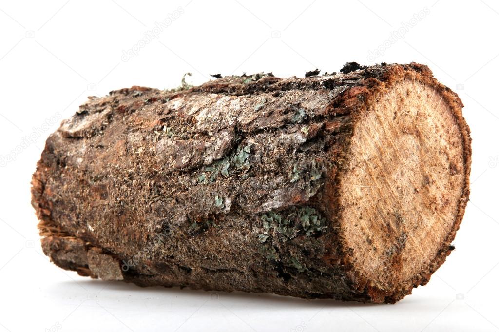 The logs of fire wood isolated on white Stock Photo by ©nenovbrothers ...