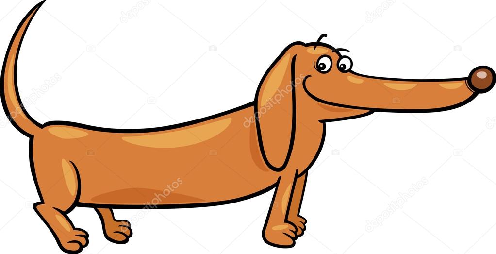 Tax hund tecknad bild – illustration av ©izakowski #18135837