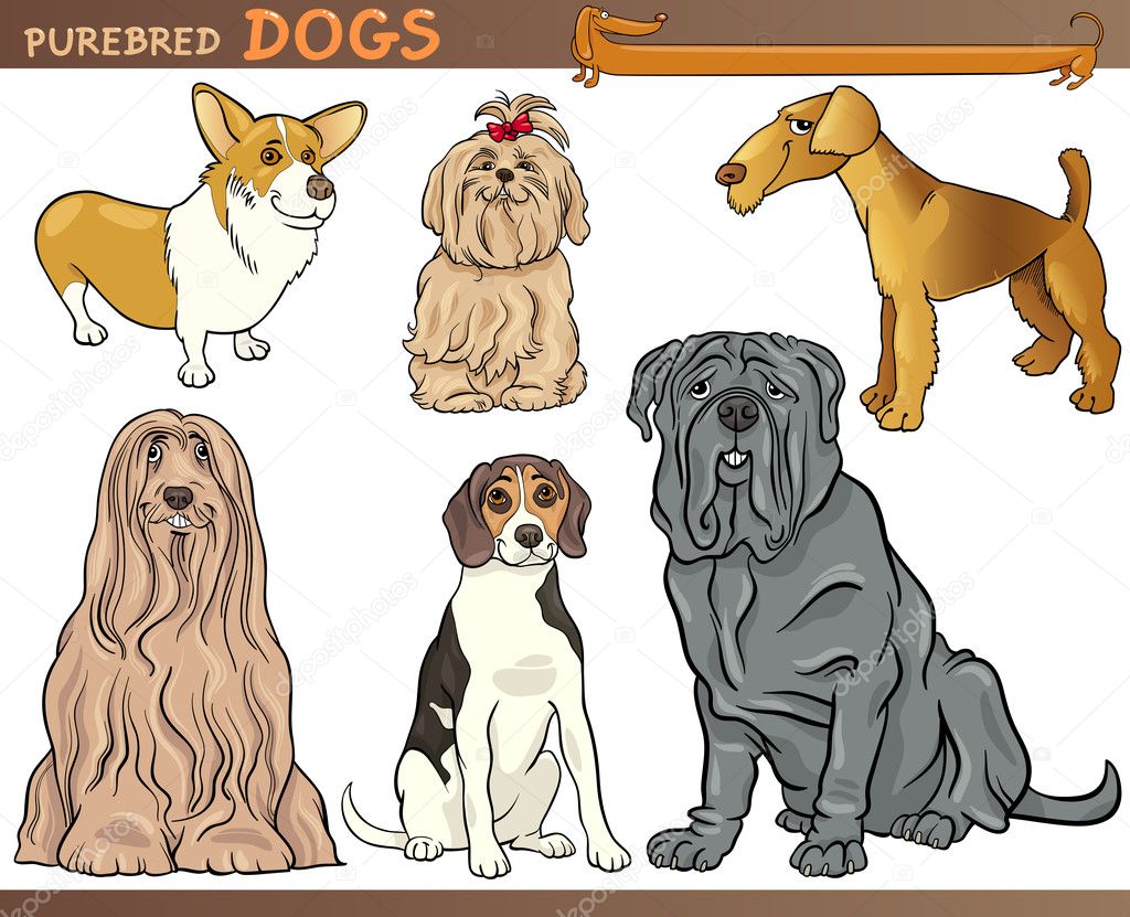 Perros de raza pura ilustración de dibujos animados conjunto 2023
