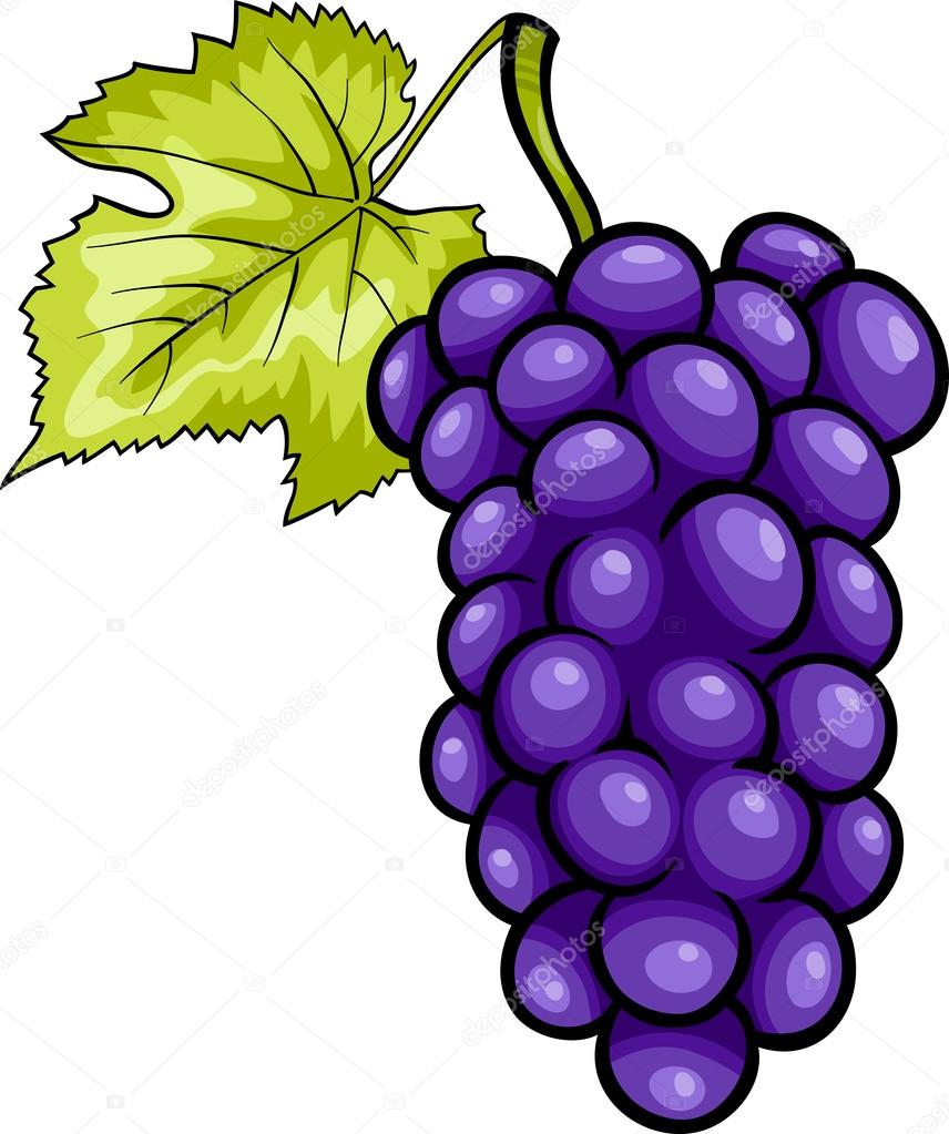 Uvas azul fruta de dibujos animados ilustración — Vector de stock ...