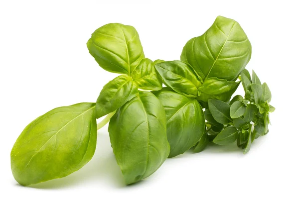 Basil Stock Photos, Royalty Free Basil Images | Depositphotos