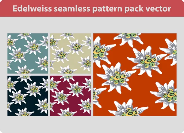 100,000 Edelweiss Vector Images | Depositphotos