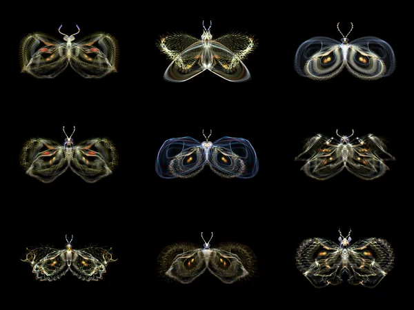 Diagrama de mariposa Stock Photos, Royalty Free Diagrama de mariposa ...