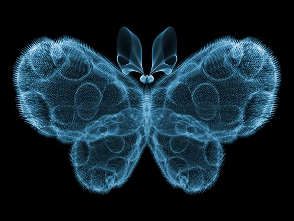 Half butterfly Stock Photos, Royalty Free Half butterfly Images ...