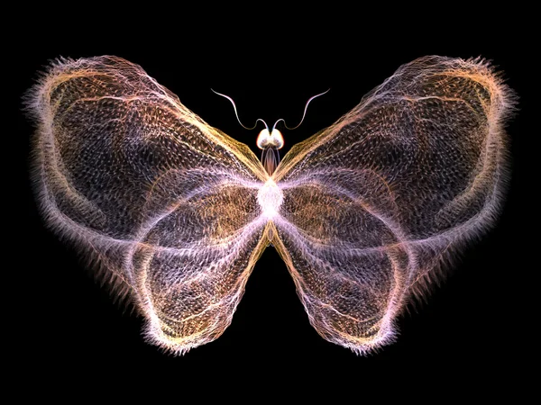 Butterfly glow Stock Photos, Royalty Free Butterfly glow Images ...