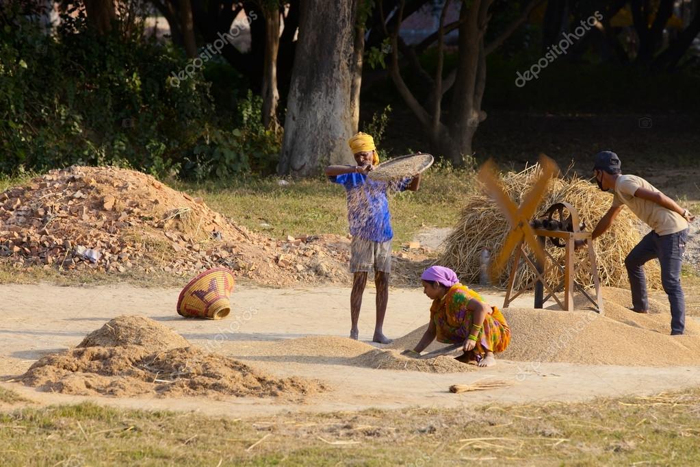 Man winnow grain from chaff, country side Stock Photo by ©nataiki 17611751