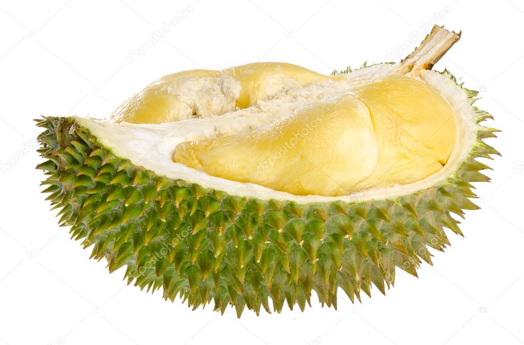 Concha (cáscara) de la preciada fruta duriana .: fotografía de stock ...