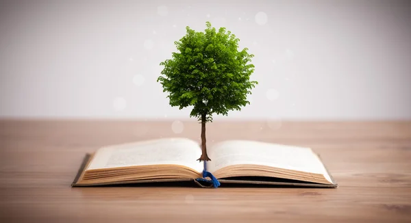 Open book tree Stock Photos, Royalty Free Open book tree Images ...
