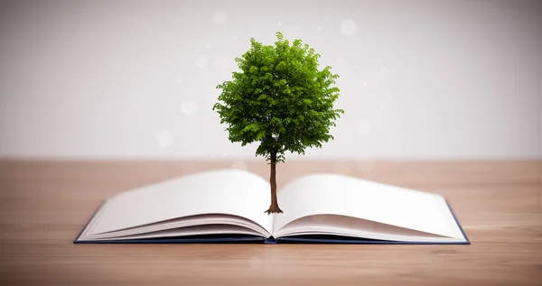 Open book tree Stock Photos, Royalty Free Open book tree Images ...