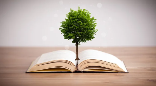 Open book tree Stock Photos, Royalty Free Open book tree Images ...