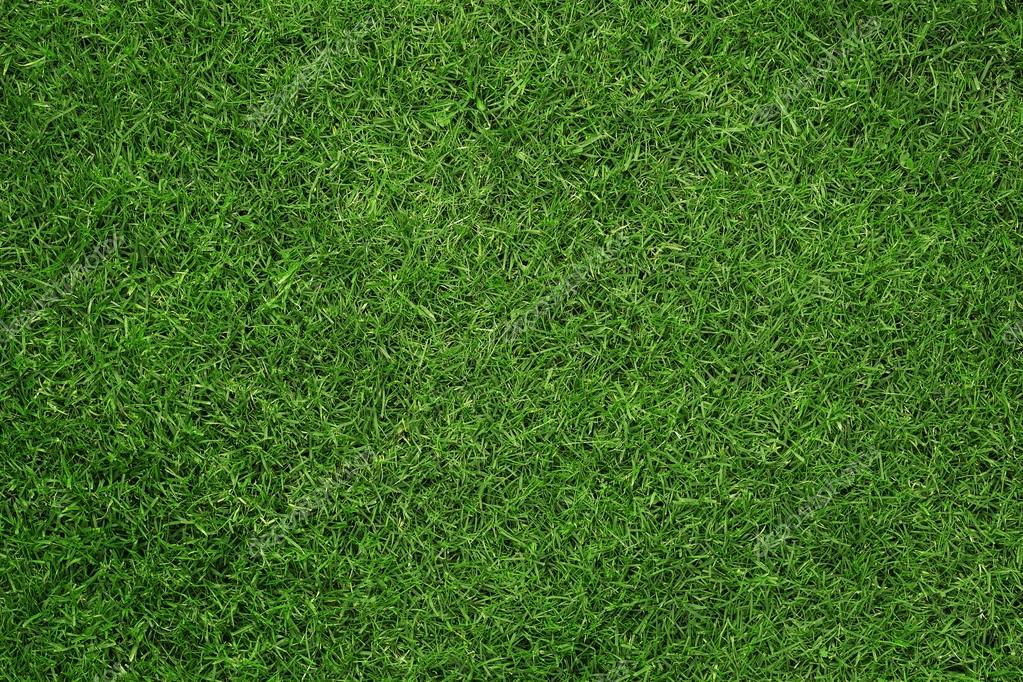 Textura de hierba: fotografía de stock © Rangizzz #30315591 | Depositphotos