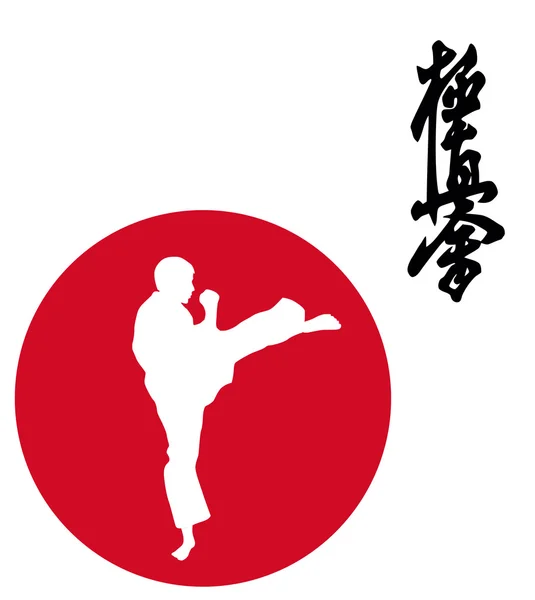 22,534,727 Karate background Vector Images | Depositphotos