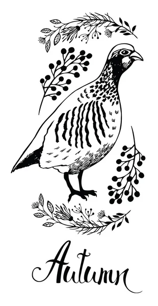 564 Partridge Vector Images - Free & Royalty-free Partridge Vectors ...