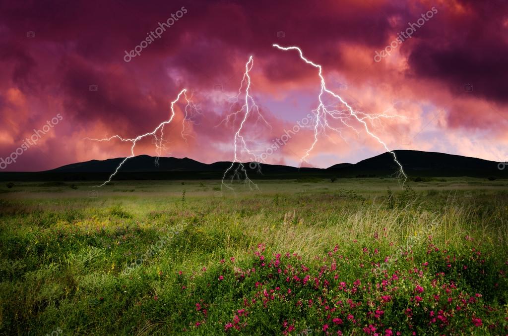 Lightning Flowers On Grass