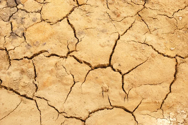 Parched land Stock Photos, Royalty Free Parched land Images | Depositphotos