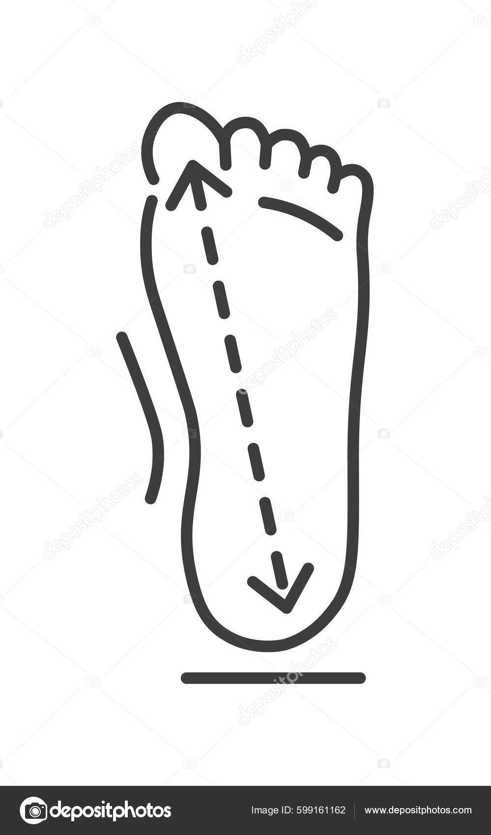 Human Feet Measurements Dimensions Size Chart Shoes Accessories Shop ...