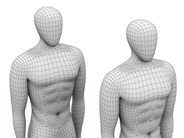 Body comparison Stock Photos, Royalty Free Body comparison Images ...