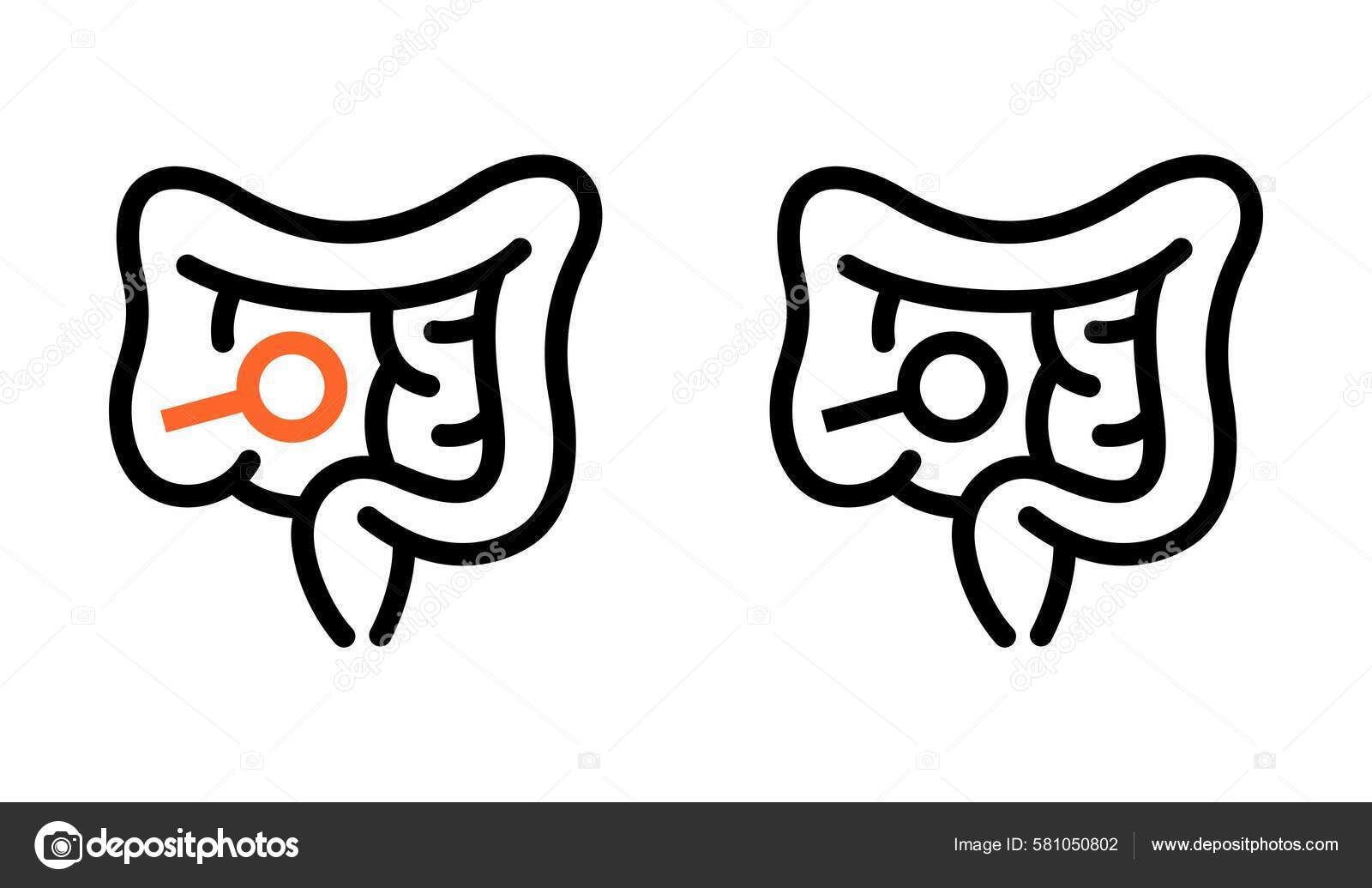 Gastroenterology Digestive Tract Vector Information Sign Stock Vector ...