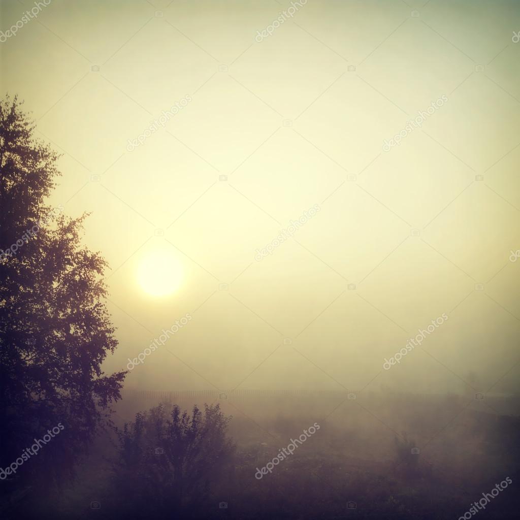 Background-20 — Stock Photo © sundar #25298631