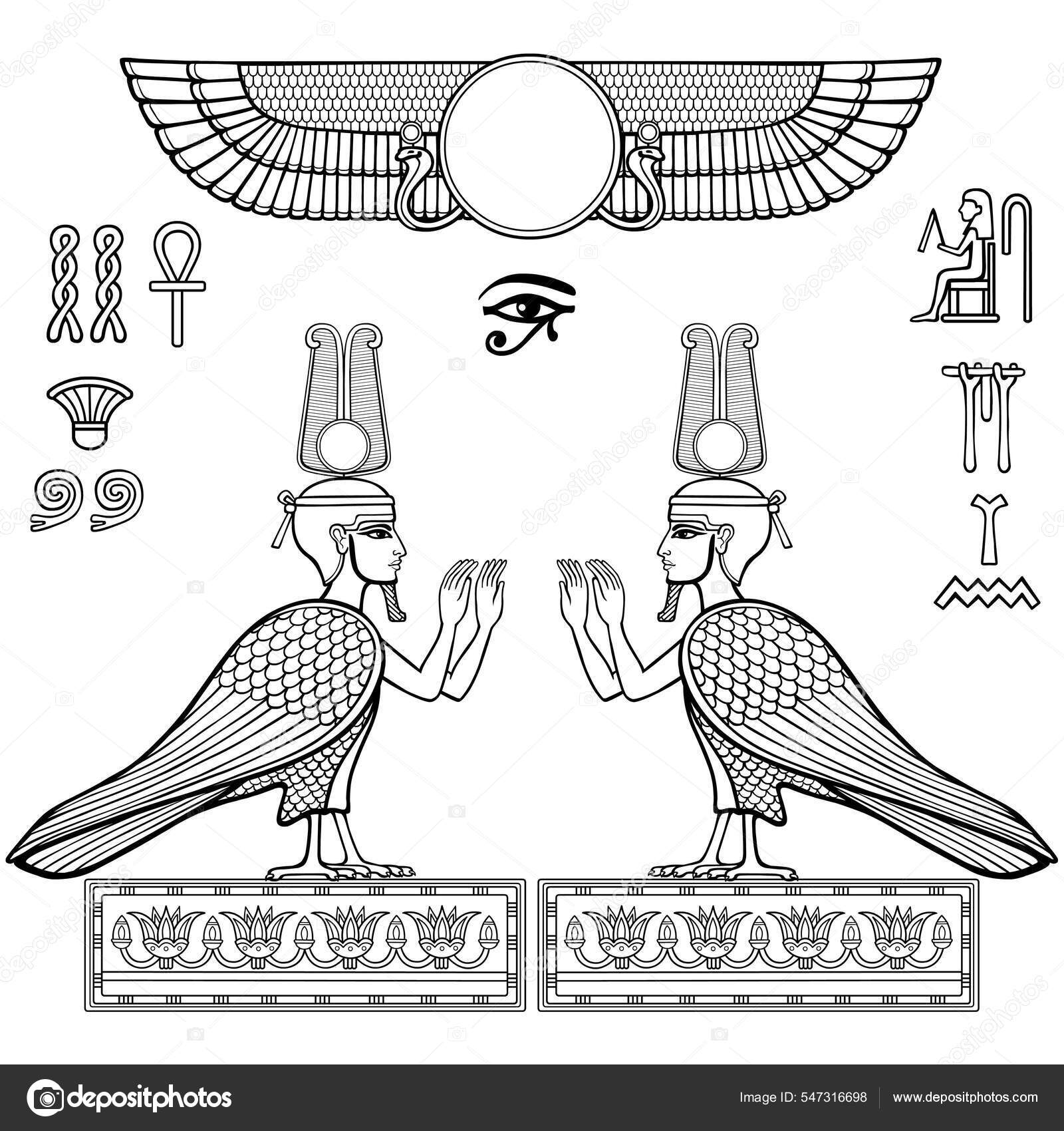 Dibujo Lineal De Halcón