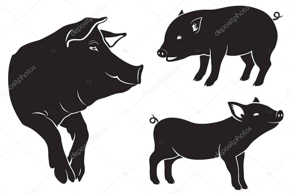 La figura muestra un cerdo 2024 La figura muestra un cerdo 2024