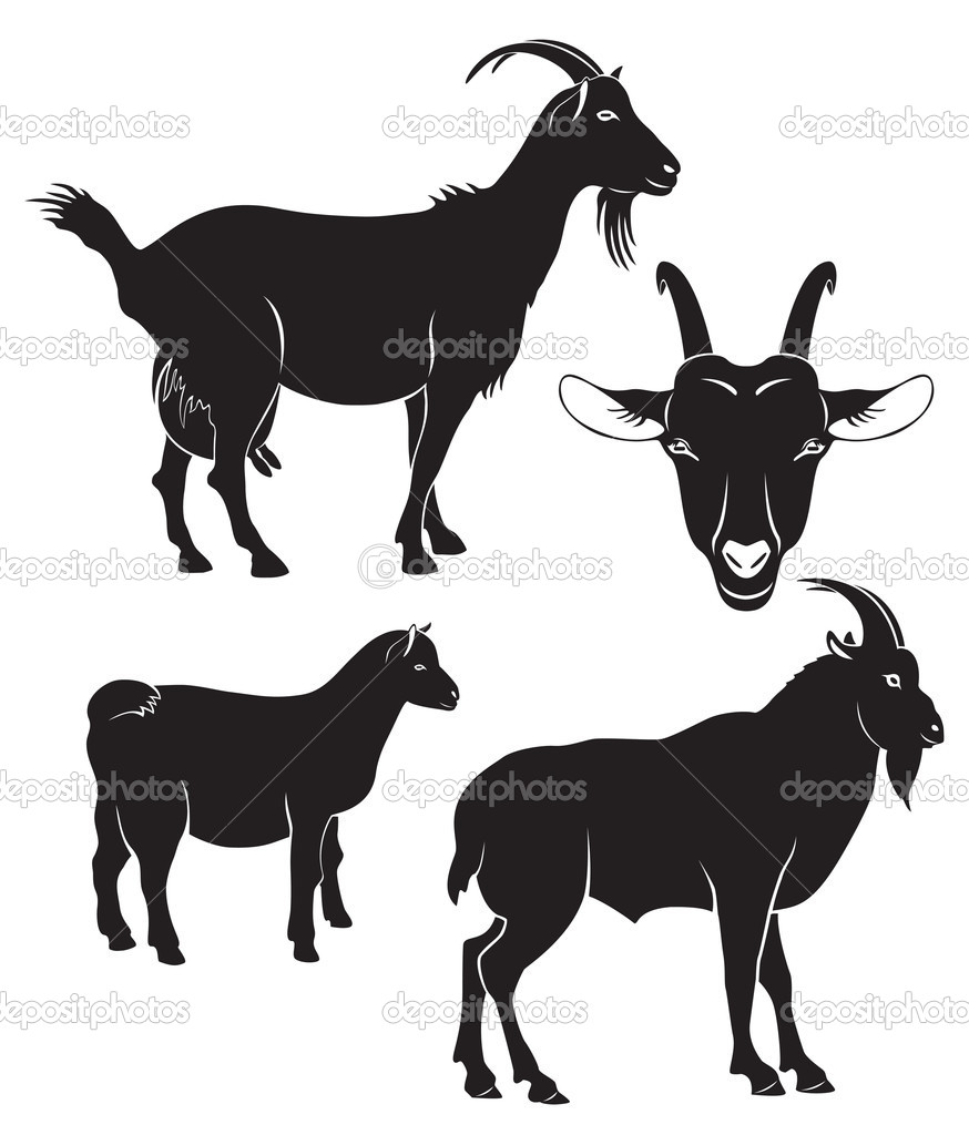 Goat Stock Vector Image by ©kvasay #19046925