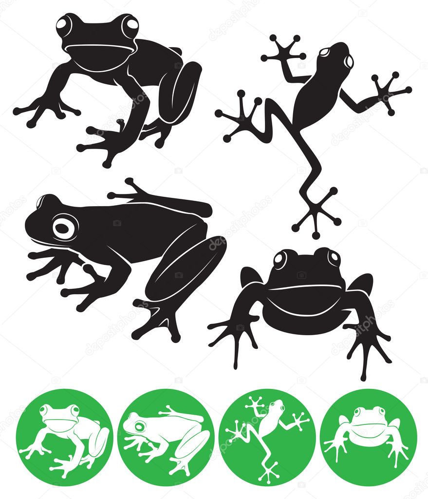 Frog — Stock Vector © kvasay #19046941