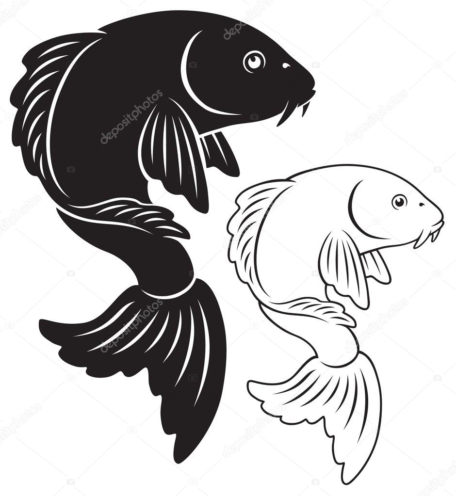 Obrázek ukazuje ryby kapr koi — Stock Vektor © kvasay #46969229