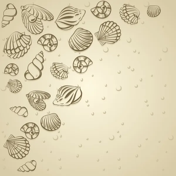 ᐈ Sea shells artwork stock pictures, Royalty Free seashell vectors ...