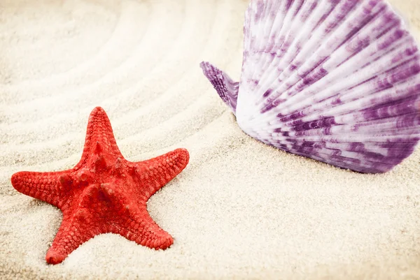 Marine still life. Stock Photo by ©Fotana 17596765