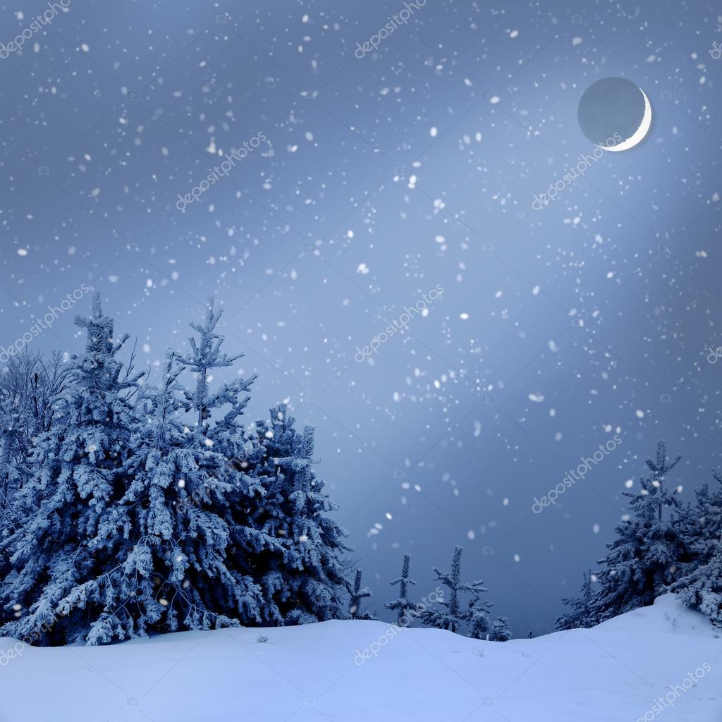 Beautiful Snowy Landscape