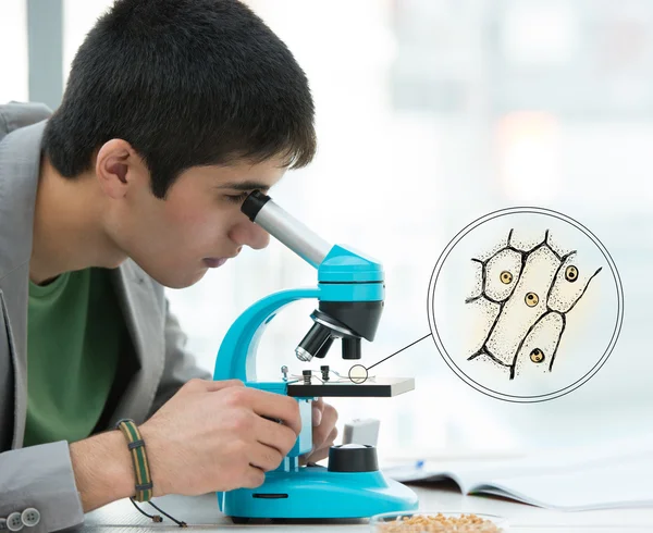 High school science lab Stock Photos, Royalty Free High school science ...