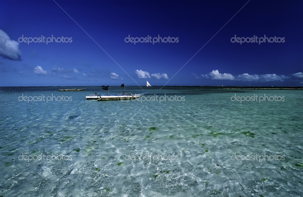 Kenya, Indian ocean, Malindi, local fishing boats in shallow water ...