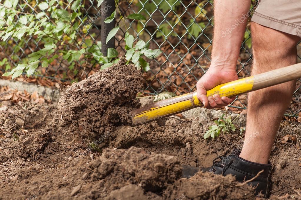 Soil work Stock Photo by ©dteurope 29532963
