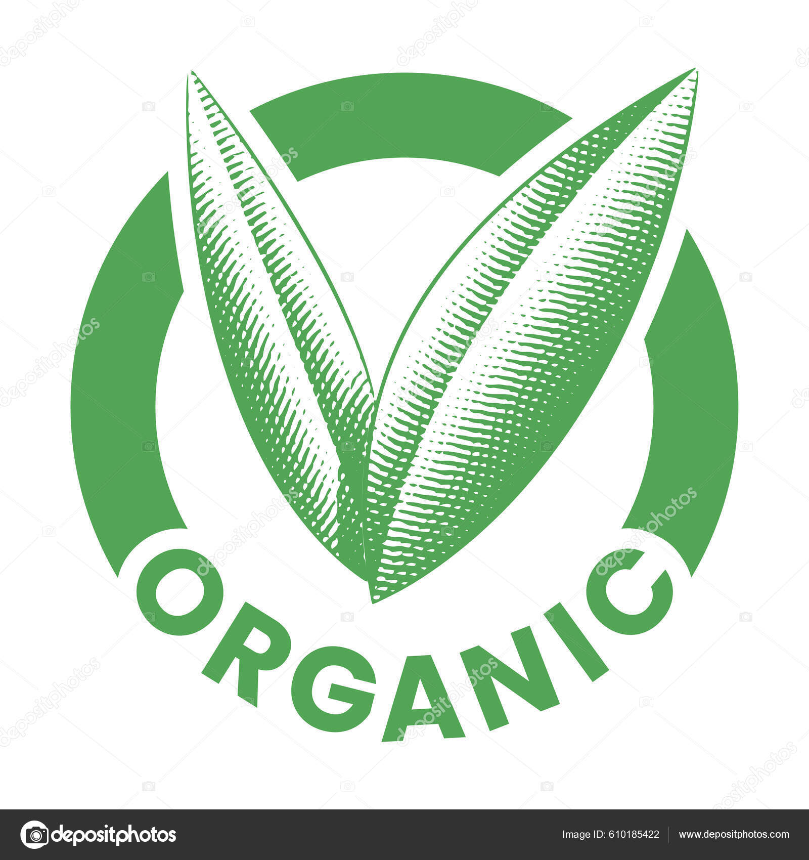 Icono Redondo Orgánico Con Hojas Verdes Grabadas Aisladas Sobre Fondo ...