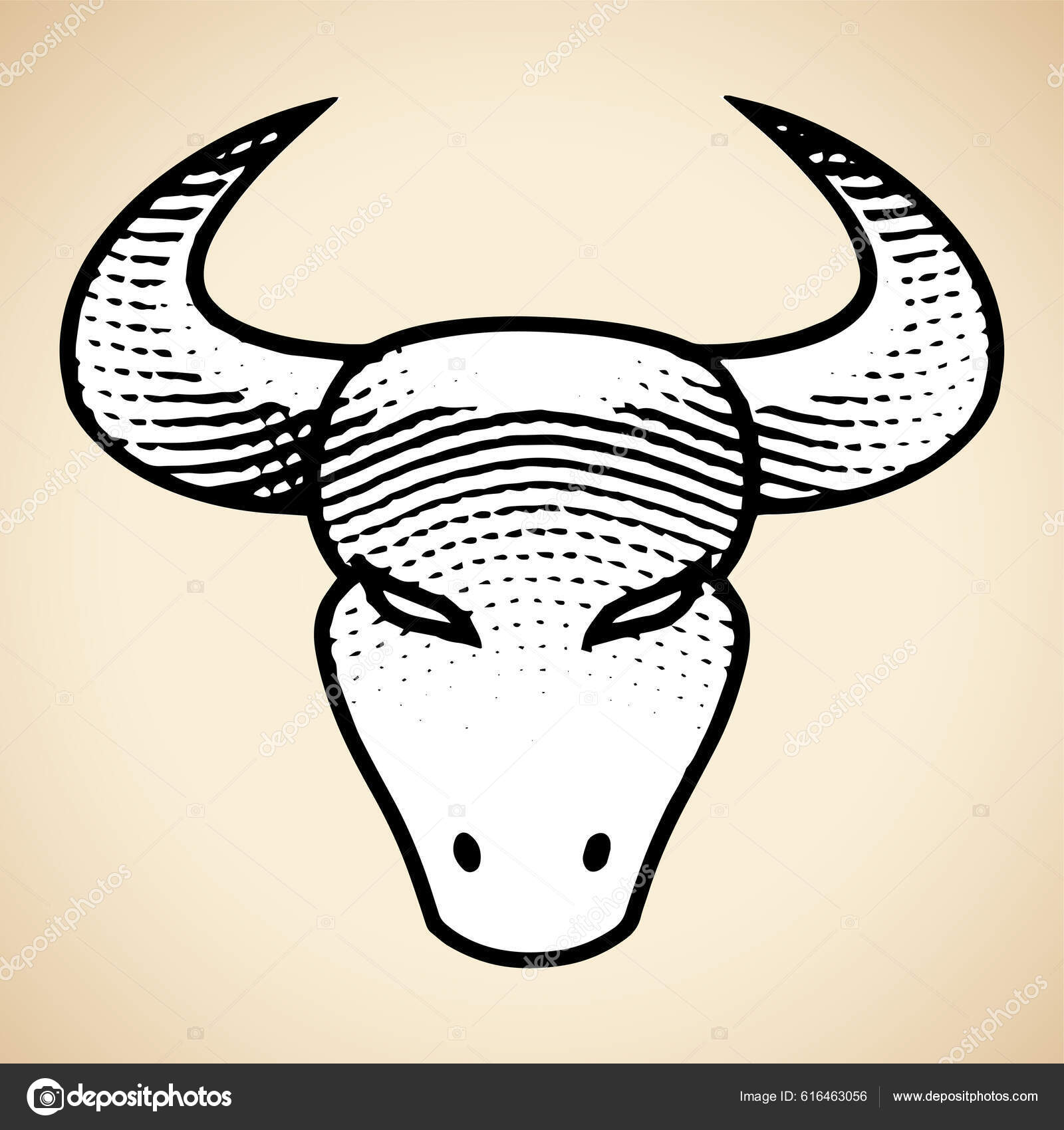 Ilustración Scratchboard Grabado Bull Front View Con Relleno Blanco ...