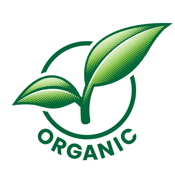 ศาสนาอินทรียวัตถุ Stockfotografier, royaltyfria ศาสนาอินทรียวัตถุ ...