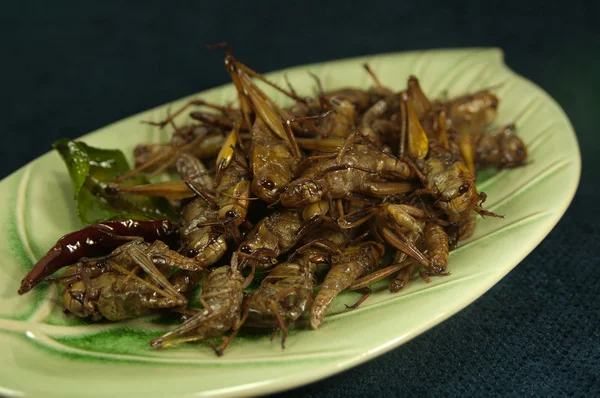 Crispy fried insects Stock Photo by ©wonderisland 30009021
