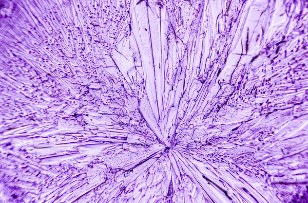 Glass under a microscope Images - Search Images on Everypixel