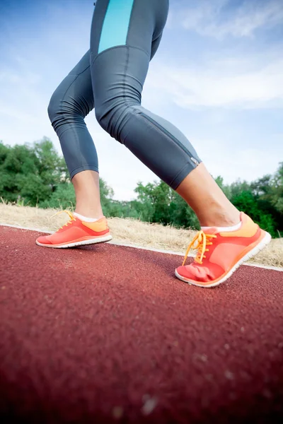 Closeup of A Women's Running Shoe - Stock Image - Everypixel