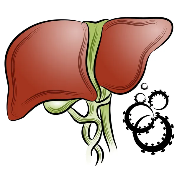 438 Liver cancer Stock Illustrations | Depositphotos®