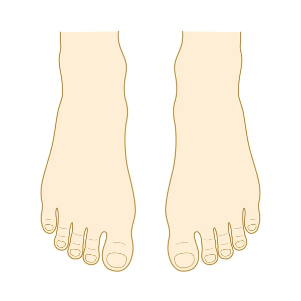 433 Big toe Vectors - Free & Royalty-free Big toe Vector Images ...