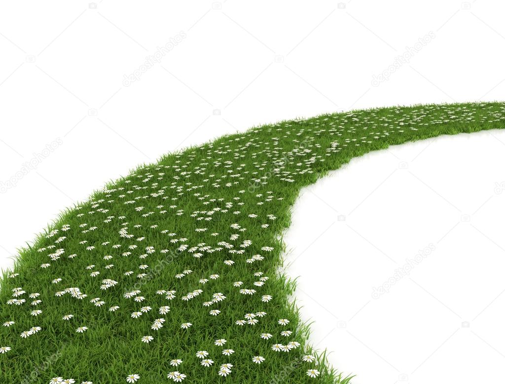 Green Grass path and daisy flowers Stock Photo by ©Jezper 34259099