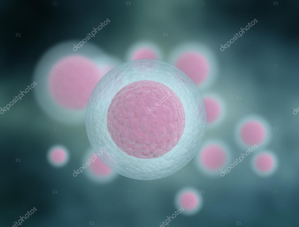 Human embryo cell illustration — Stock Photo © Jezper #41169823