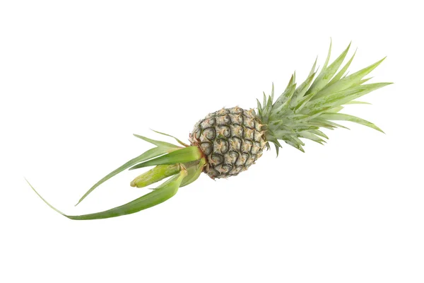 Pineapple stem Stock Photos, Royalty Free Pineapple stem Images ...