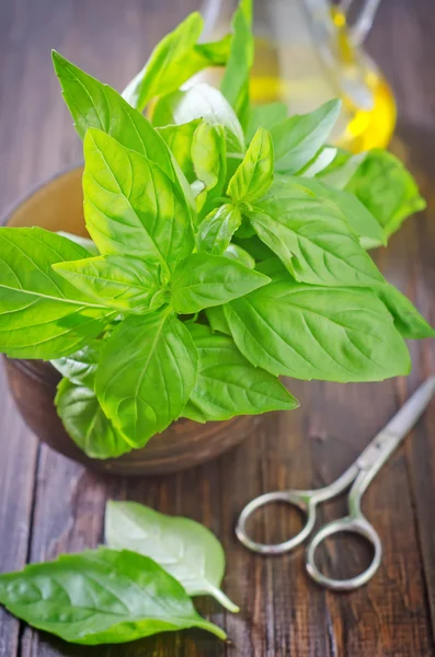 Basil on table - Stock Image - Everypixel